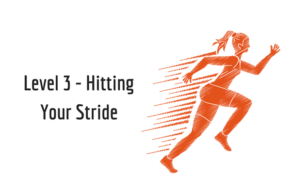 Level 3 - Hitting Your Stride - MACNY